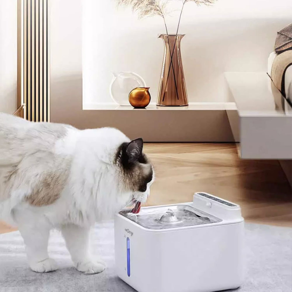 Smart Sensor Automatic Circulating Flow Cat Water Dispenser – FancyAdd